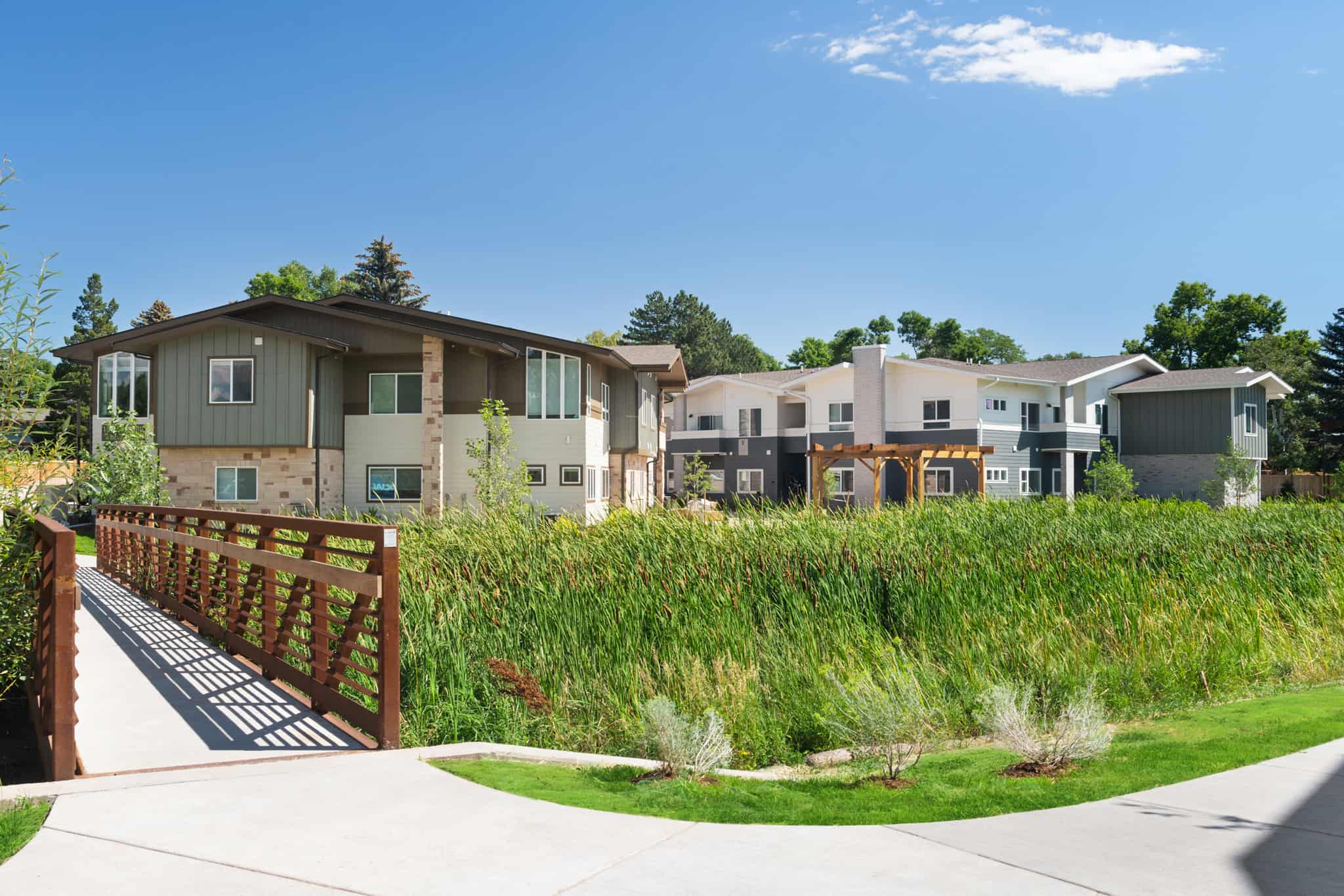 The Social Fort Collins - Colliers